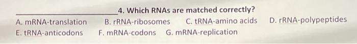Solved 4. Which RNAs are matched correctly? B. | Chegg.com