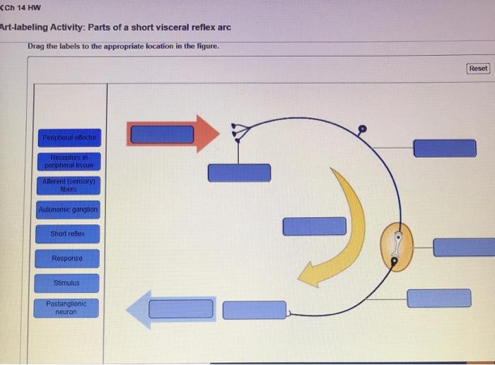 Solved Question | Chegg.com