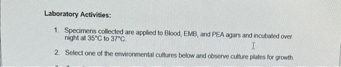 Solved EMB Agar PEAAgarLaboratory Activities: 1. Specimens | Chegg.com
