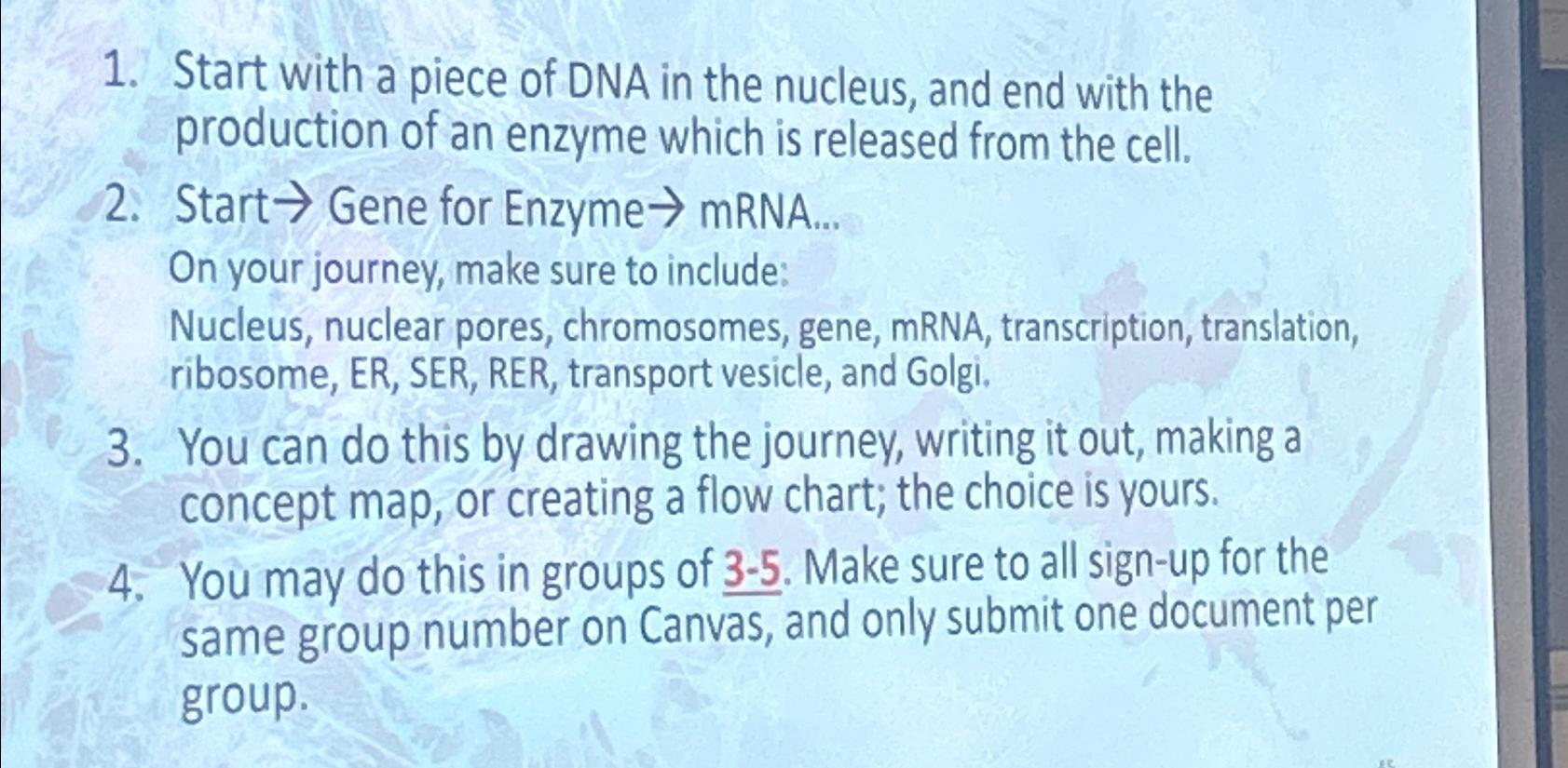 Solved Start with a piece of DNA in the nucleus, and end | Chegg.com