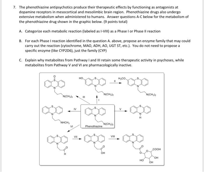 7. The phenothiazine antipsychotics produce their | Chegg.com