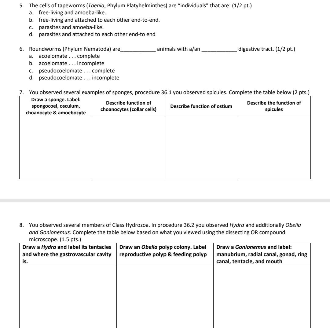 Solved 5. The cells of tapeworms (Taenia, Phylum | Chegg.com