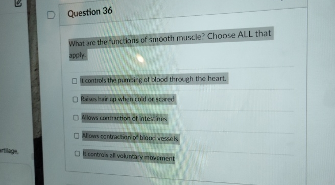 Solved Question 36What are the functions of smooth muscle? | Chegg.com