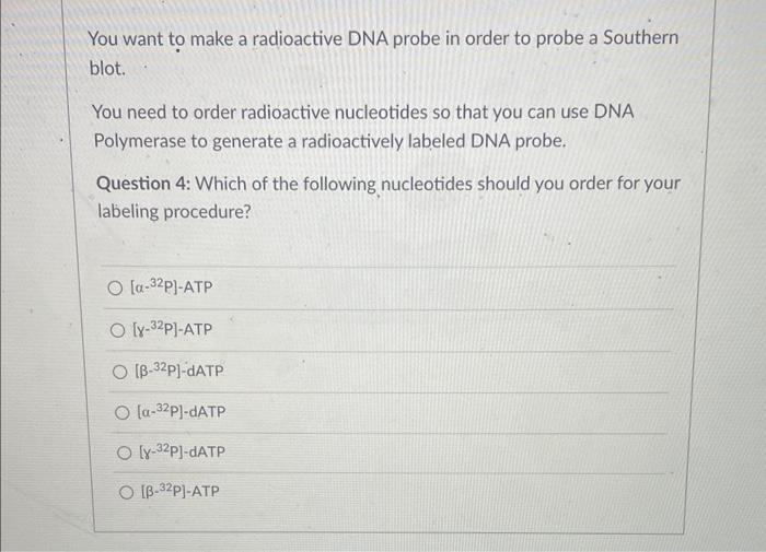Solved You want to make a radioactive DNA probe in order to | Chegg.com