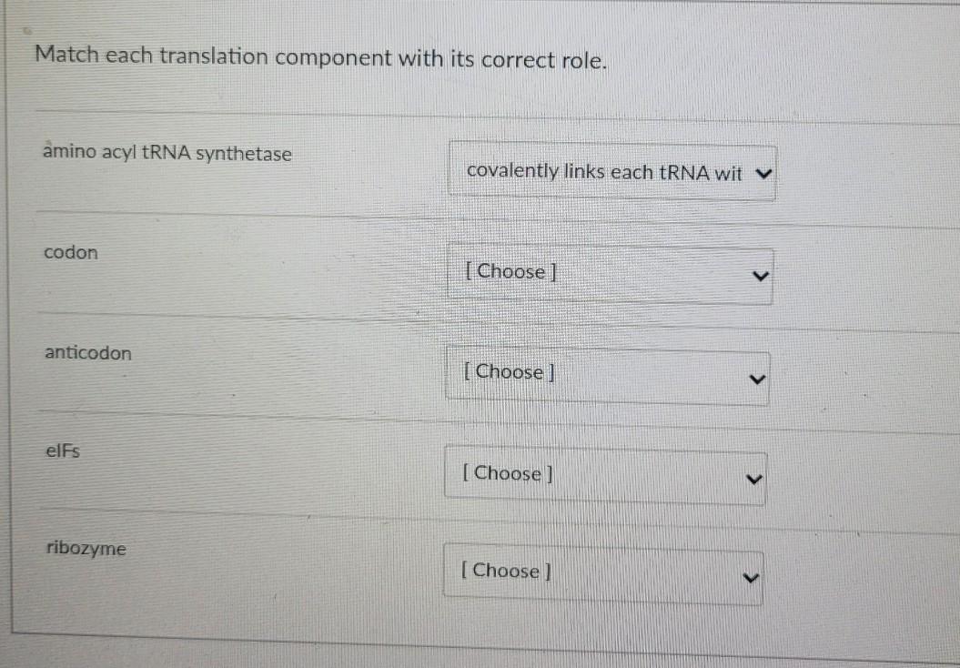 Solved Match each translation component with its correct | Chegg.com