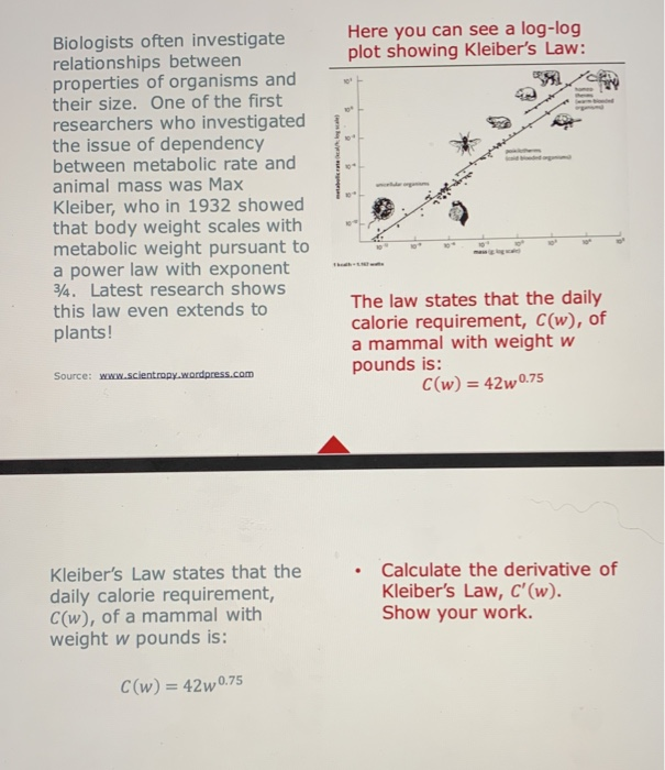 Solved Here you can see a log-log plot showing Kleiber's | Chegg.com
