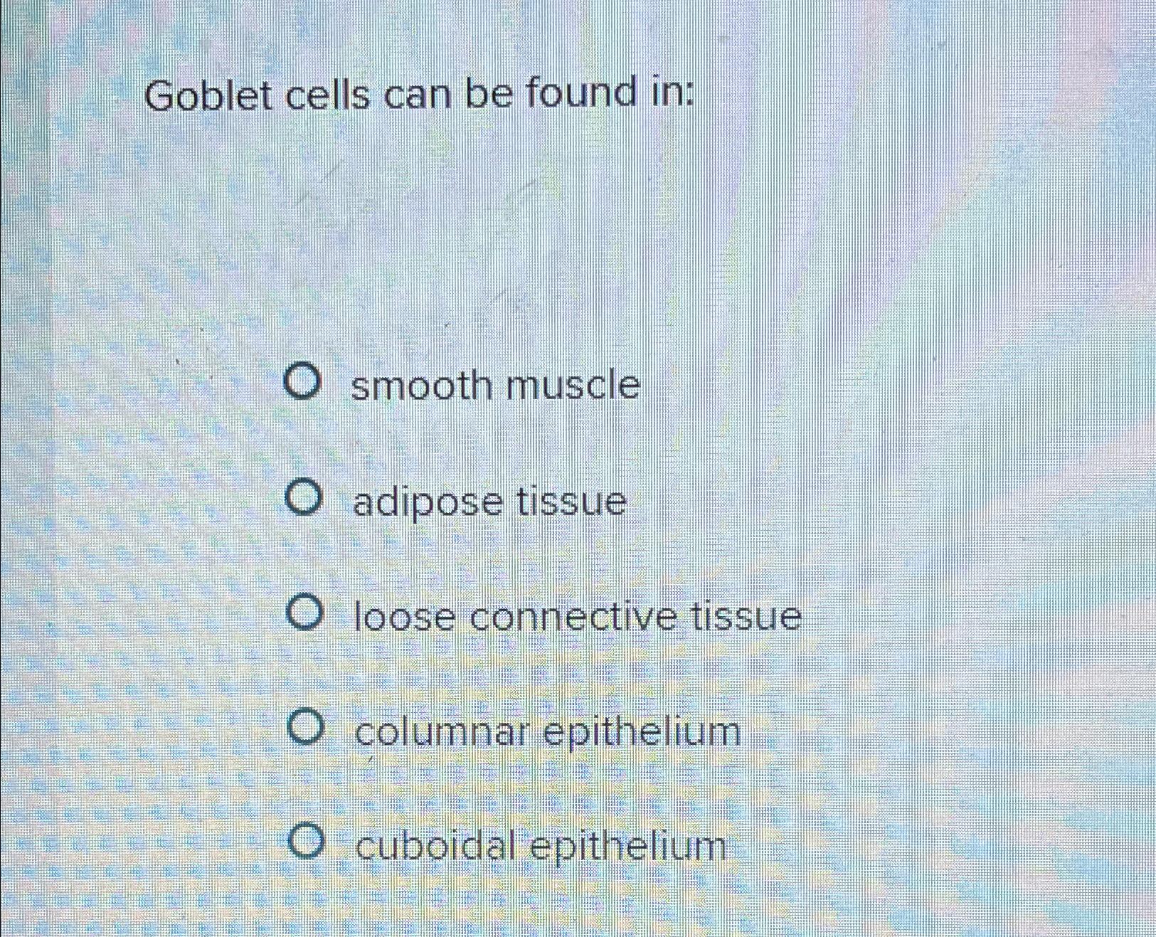 Solved Goblet cells can be found in:smooth muscleadipose | Chegg.com