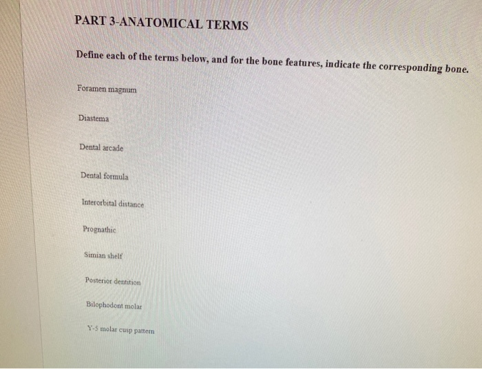 Solved PART 3-ANATOMICAL TERMS Define each of the terms | Chegg.com