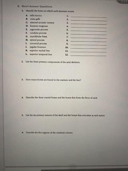 Solved Review & Prac Exei B. Matching Match each surface | Chegg.com