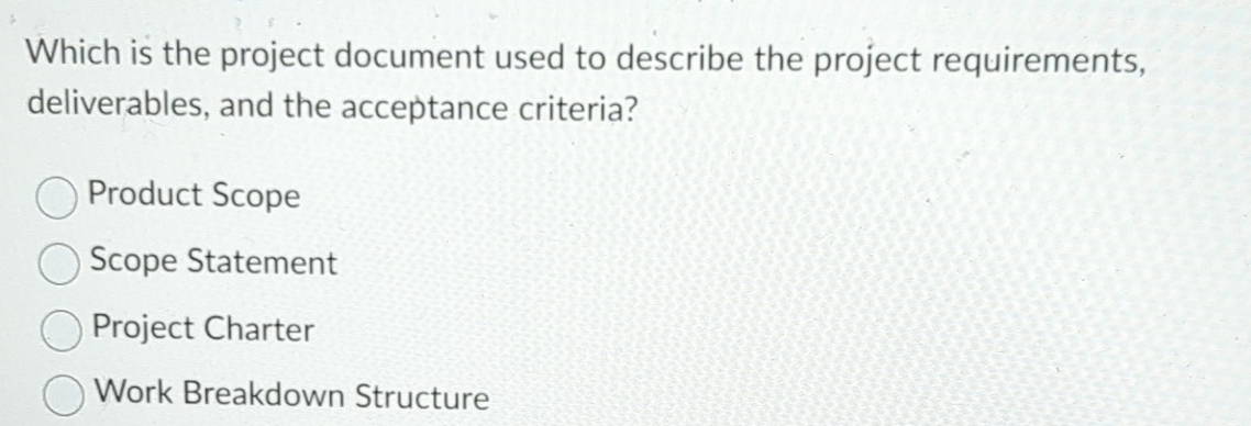 Solved Which is the project document used to describe the | Chegg.com