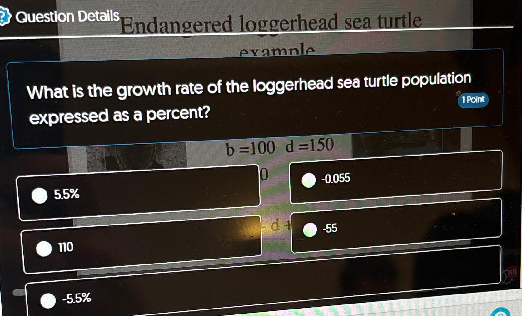 Solved Question DetailsEndangered loggerhead sea turtleWhat | Chegg.com