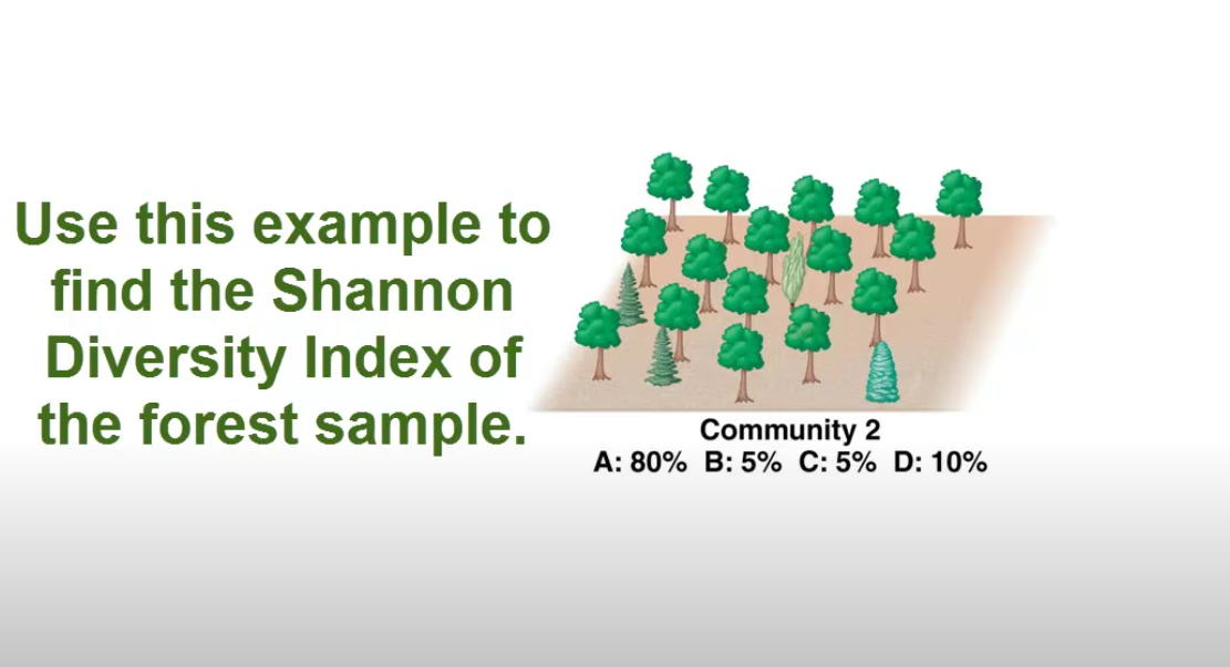 Solved Shannon Diversity Index Watch the video and calculate | Chegg.com
