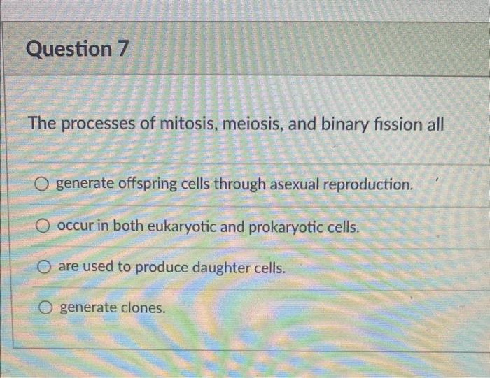 Solved The processes of mitosis, meiosis, and binary fission | Chegg.com