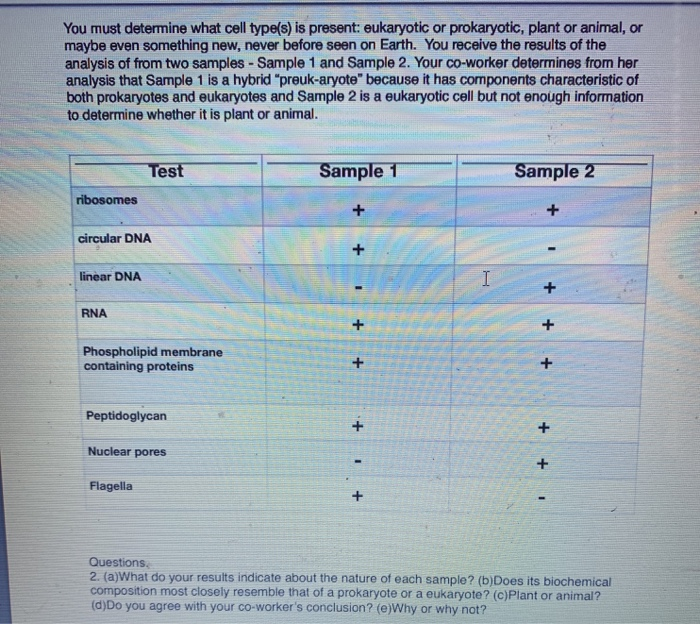 Solved Questions1. what do your results indicate about the | Chegg.com