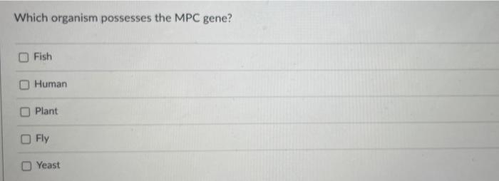 Solved Which organism possesses the MPC gene? Fish Human | Chegg.com