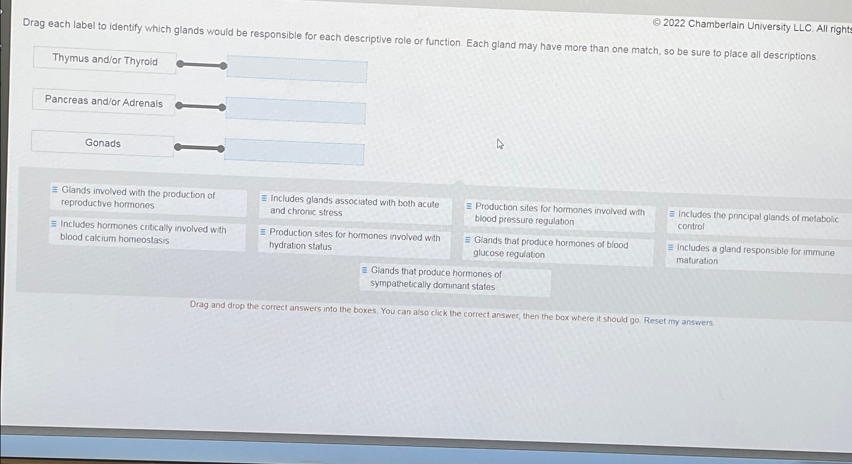 Solved Drag each label to identify which glands would be | Chegg.com