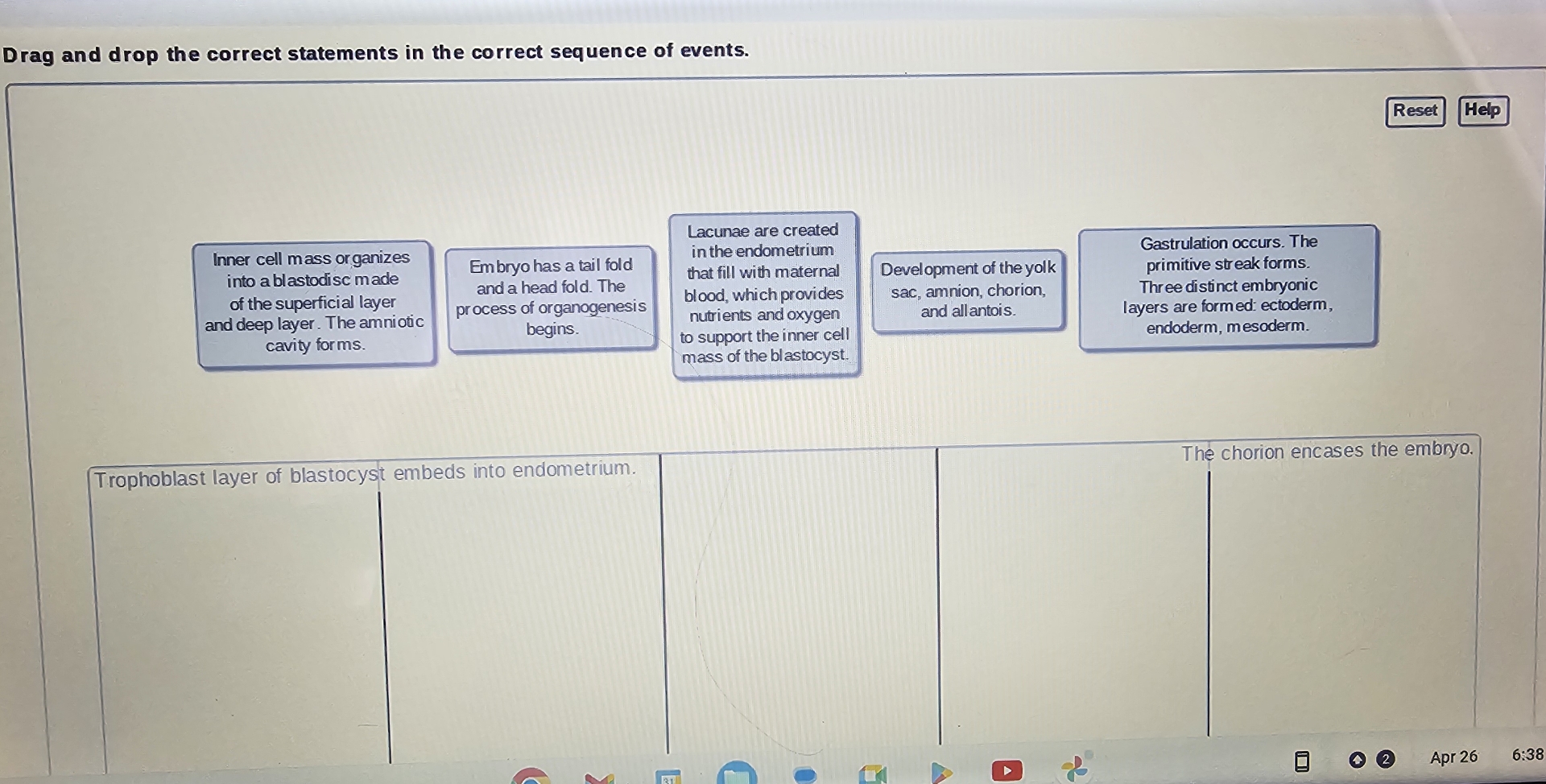 Solved Drag and drop the correct statements in the correct | Chegg.com