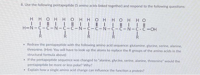 Solved 8. Use the following pentapeptide (5 amino acids | Chegg.com