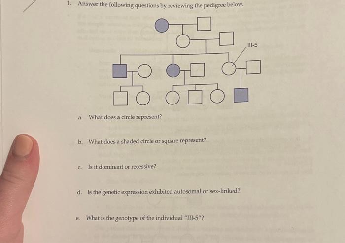 Solved 1. Answer the following questions by reviewing the | Chegg.com