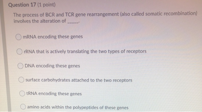 Solved Question 17 (1 point) The process of BCR and TCR gene | Chegg.com