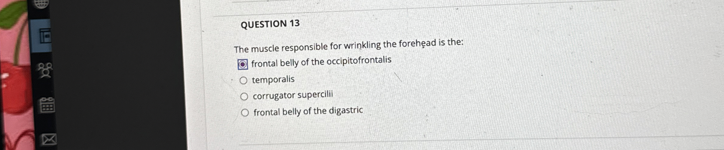 Solved QUESTION 13The muscle responsible for wrinkling the | Chegg.com