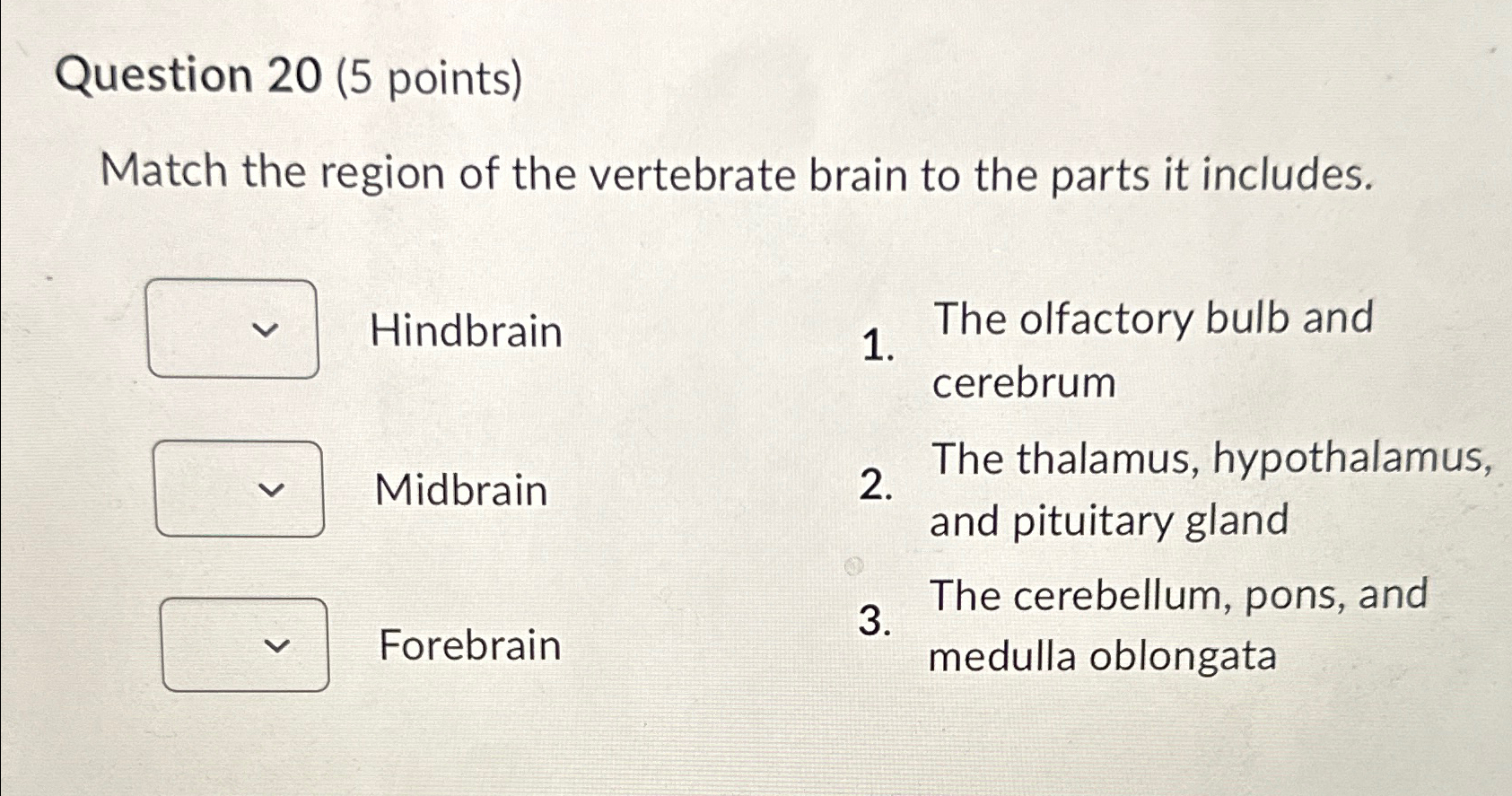 Solved Question 20 (5 ﻿points)Match the region of the | Chegg.com
