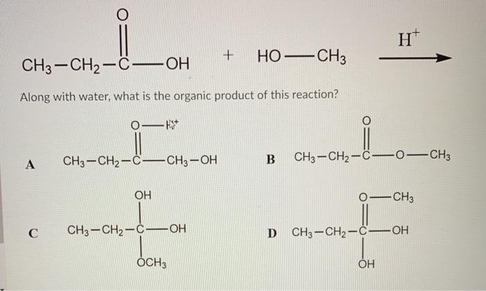 Solved H + HO-CH3 CH3 -CH2-C-OH Along with water, what is | Chegg.com