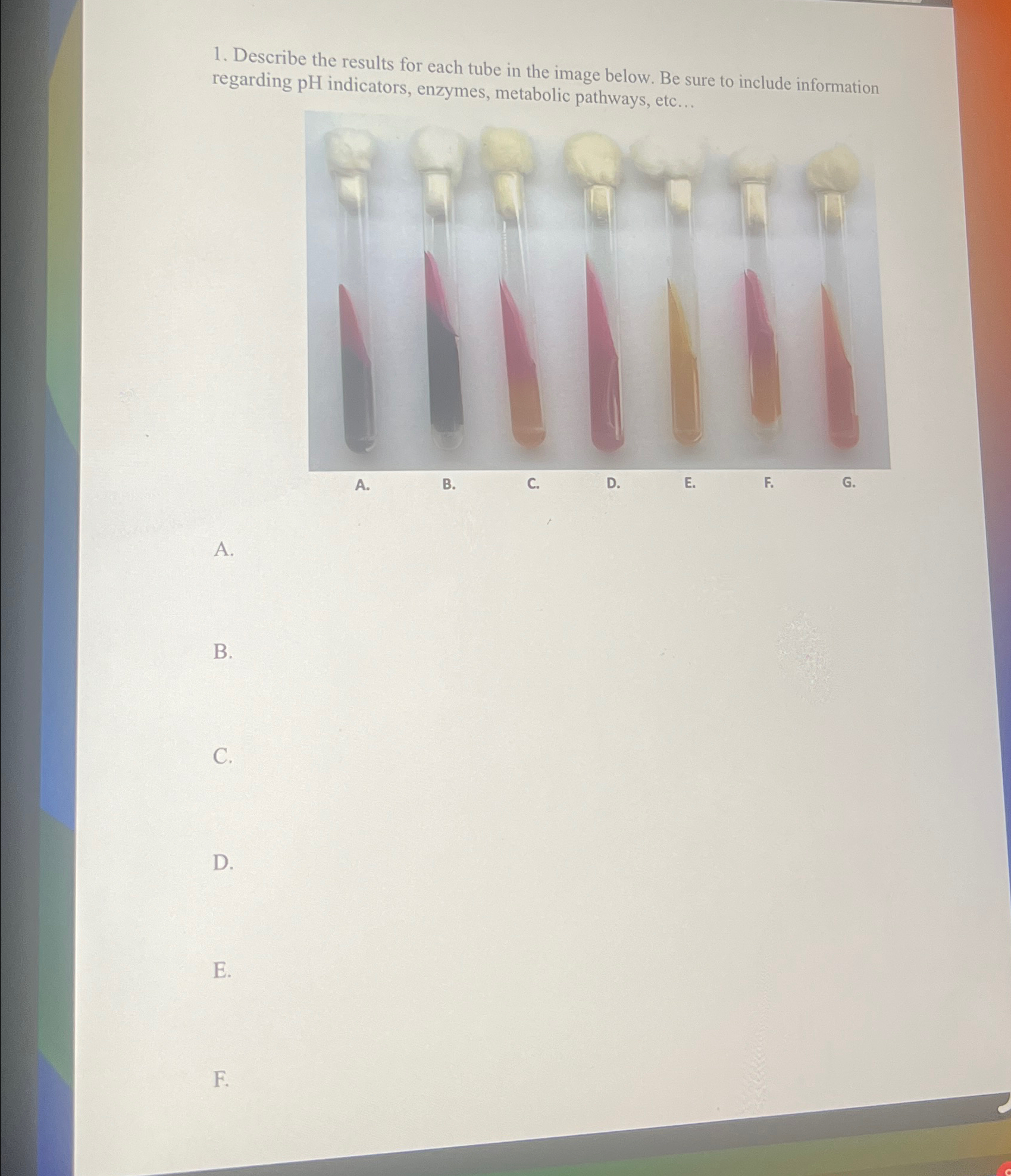 Solved Describe the results for each tube in the image | Chegg.com