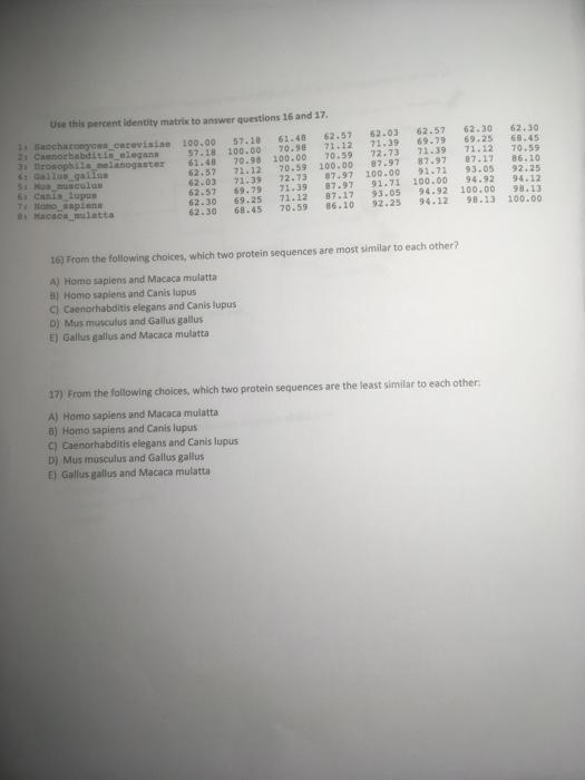 Solved Use this percent identity matrix to answer questions | Chegg.com