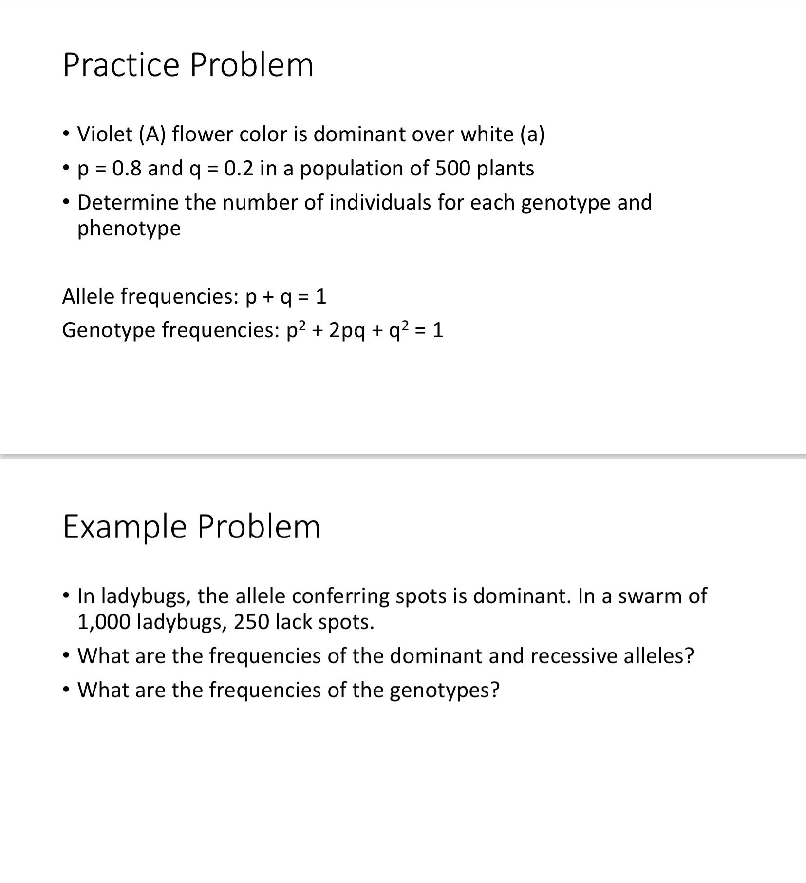 Solved Practice ProblemViolet (A) ﻿flower color is dominant | Chegg.com