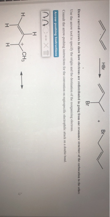 Solved CH3 HCI -CH3 -CH3 CI Addition of HCl to 1. | Chegg.com