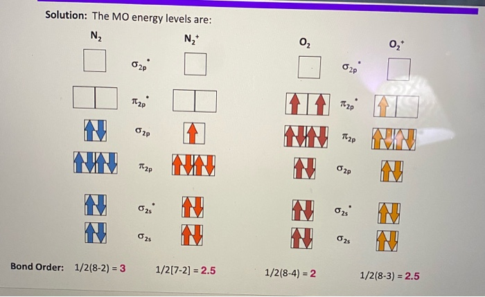Solved why is the MO diagram different for each? how would | Chegg.com