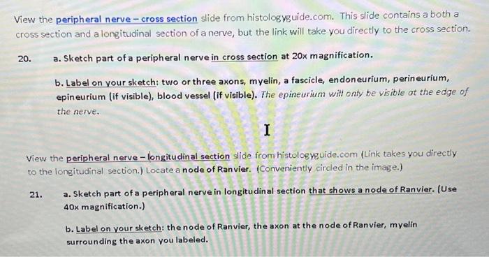 Solved View the peripheral nerve - cross section slide from | Chegg.com