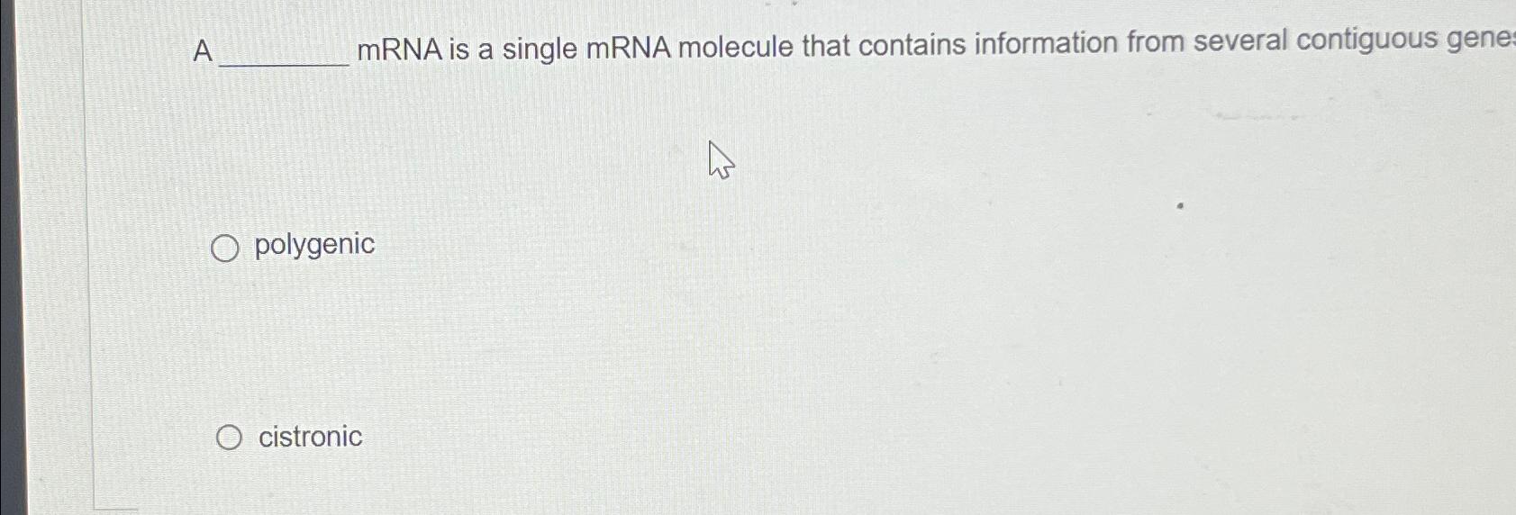 Solved A mRNA is a single mRNA molecule that contains | Chegg.com
