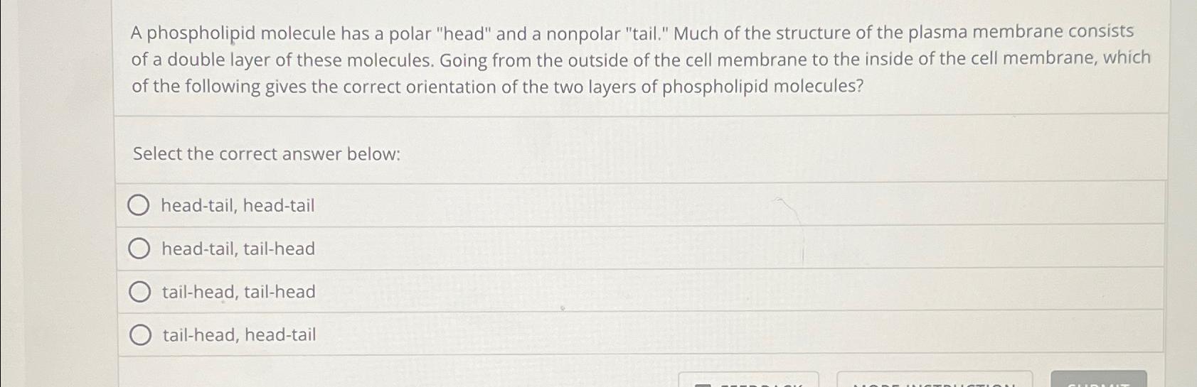 Solved A phospholipid molecule has a polar "head" and a | Chegg.com