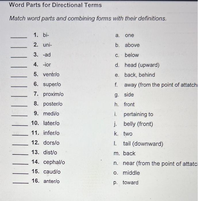 Solved Word Parts for Directional Terms Match word parts and | Chegg.com
