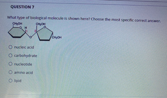 Solved QUESTION 7 What type of biological molecule is shown | Chegg.com