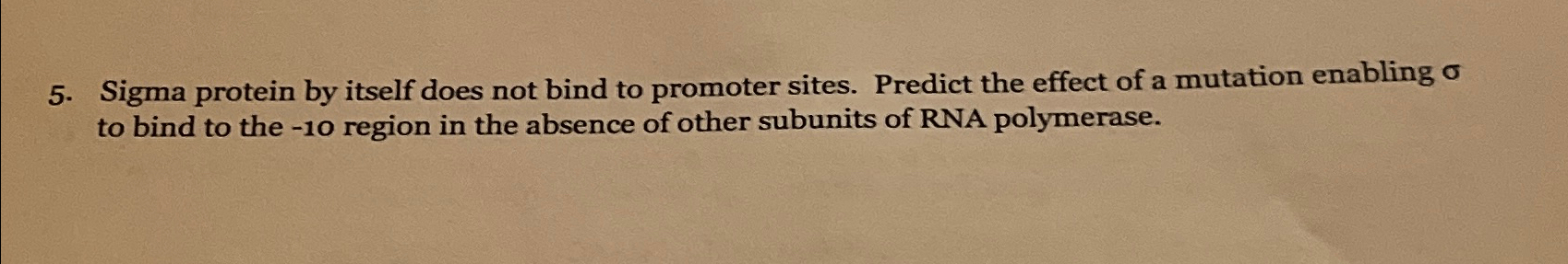 Solved Sigma protein by itself does not bind to promoter | Chegg.com