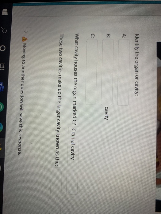 Solved estion 4 0.5 points C. A. B. 비 Clip hp Identify the | Chegg.com Solved estion 4 0.5 points C. A. B. 비 Clip hp Identify the | Chegg.com