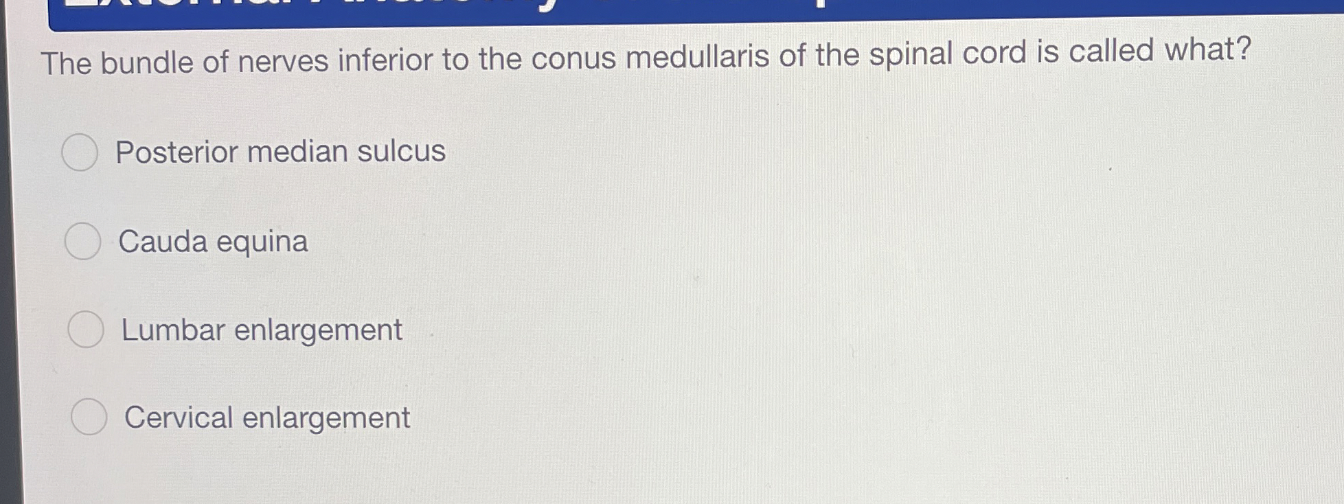 Solved The bundle of nerves inferior to the conus medullaris | Chegg.com