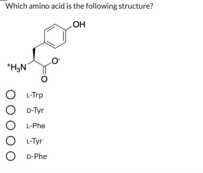Solved Which amino acid is the following structure? ОН. +H3N | Chegg.com
