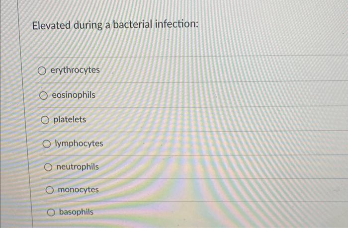 Solved Elevated during a bacterial infection: erythrocytes | Chegg.com