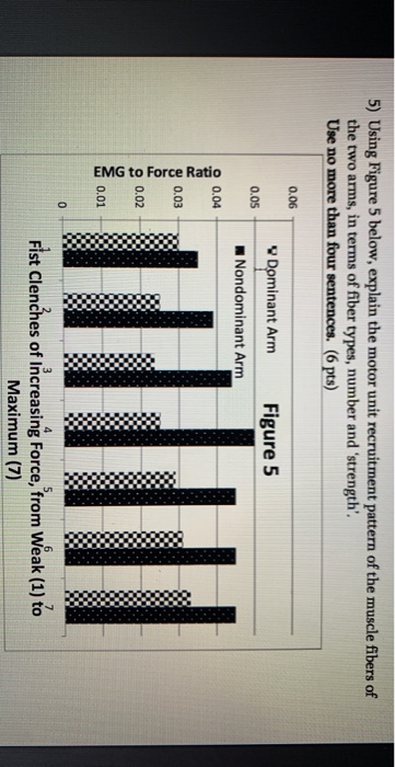 Solved 5) Using Figure 5 below, explain the motor unit | Chegg.com