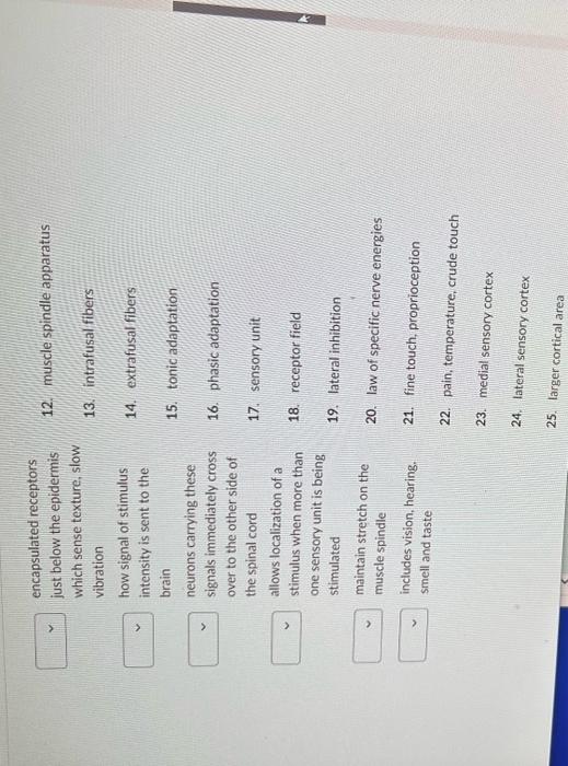 Solved Match the following sensory descriptions with their | Chegg.com