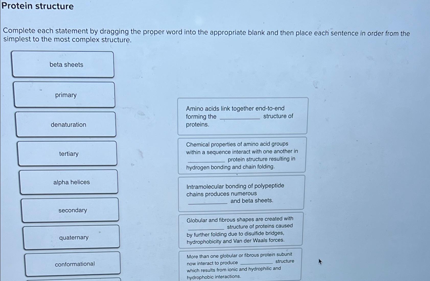 Solved Protein structureComplete each statement by dragging | Chegg.com