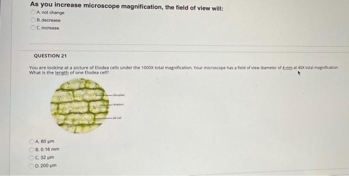 Solved As you increase microscope magnification, the field | Chegg.com