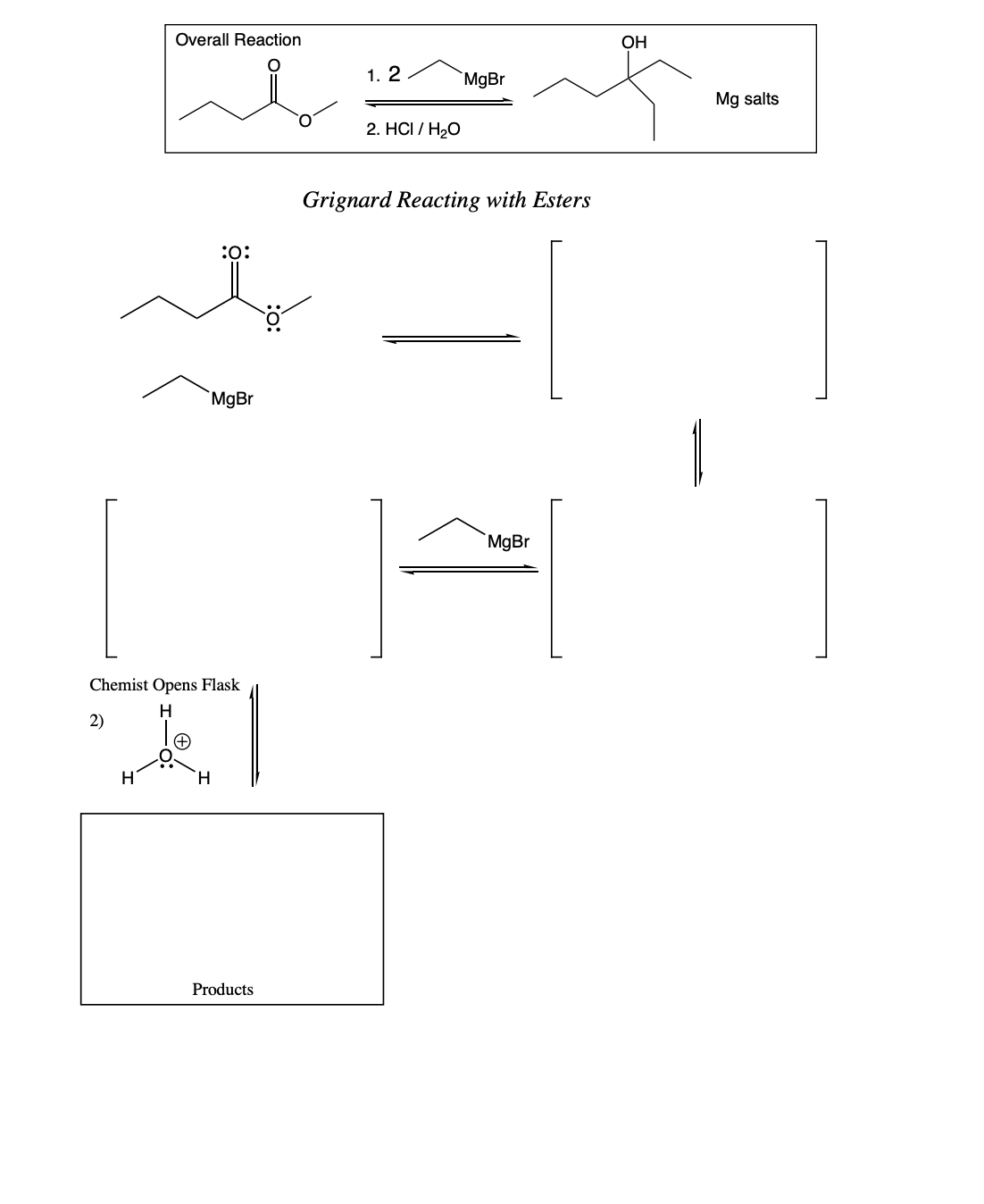 Solved Grignard Reacting with Esters | Chegg.com