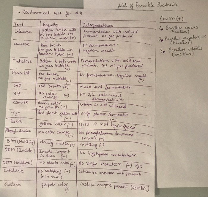 Solved List of possible Bacteria • Selective Unknown | Chegg.com