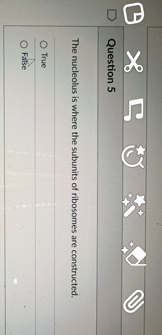 Solved Question 5The nucleolus is where the subunits of | Chegg.com