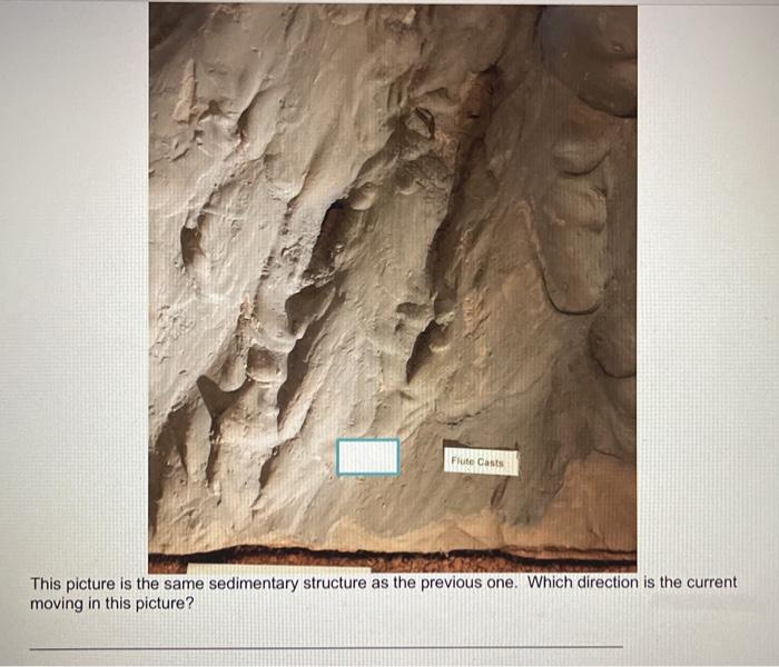 Solved Flute Casts This picture is the same sedimentary | Chegg.com